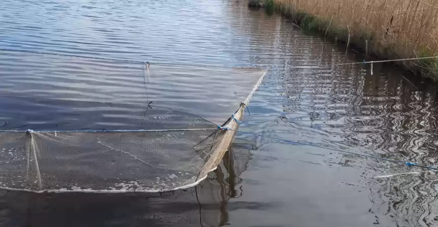 Afacere de vanzare - Vand AMENAJARE PISCICOLA in suprafata de 65 hecta ...