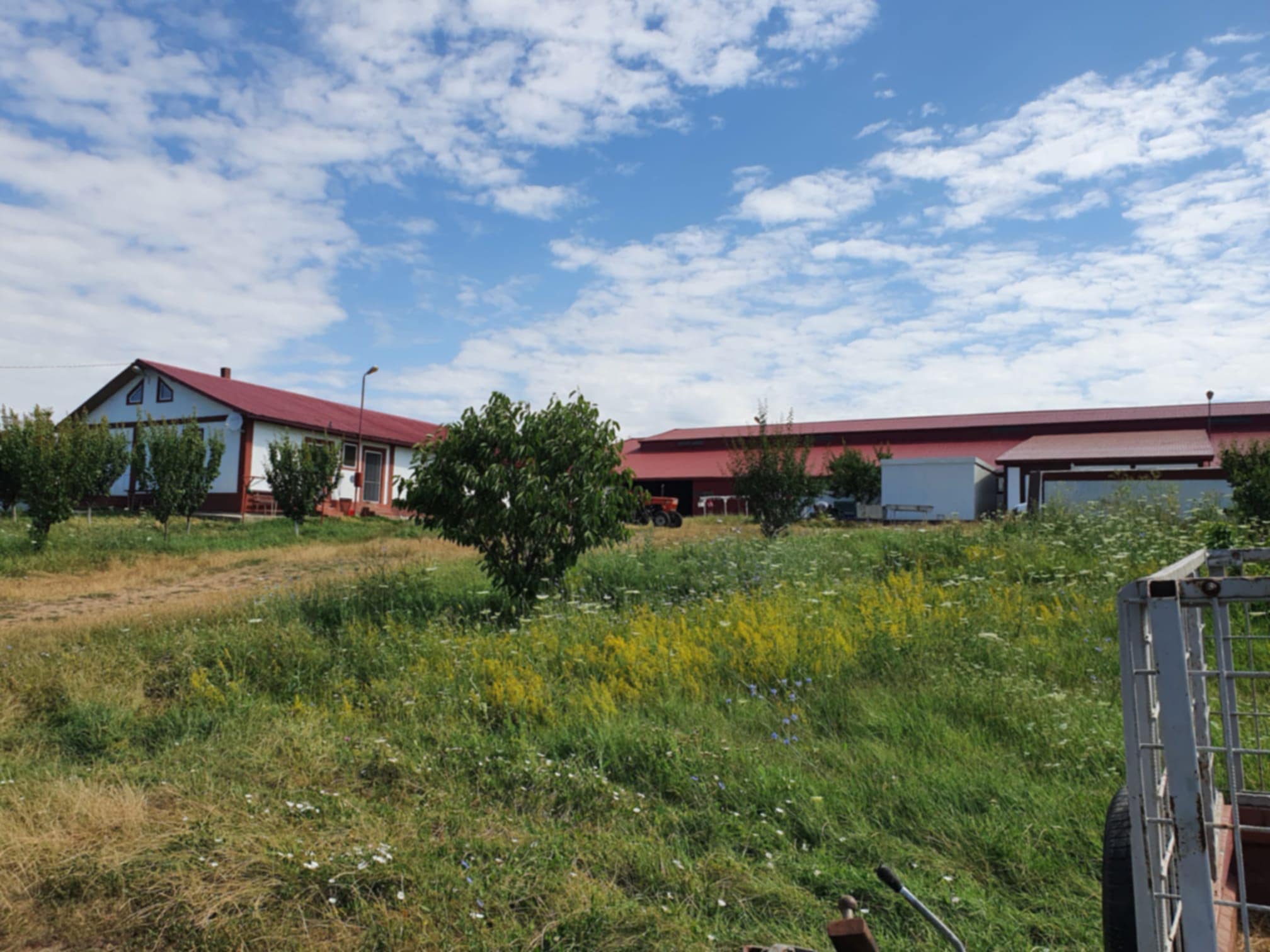 Afacere de vanzare - Fermă zootehnică utilată, 1000 m² construiti ...