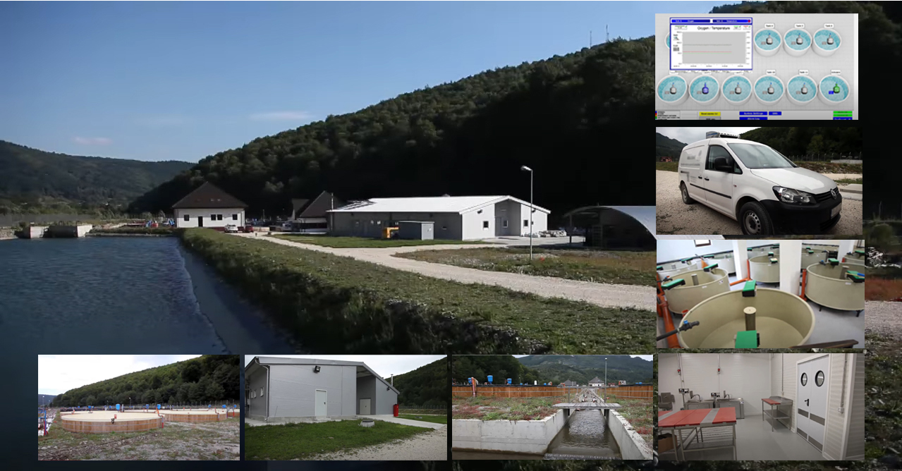 Afacere de vanzare - Pastravarie de vanzare in judetul Arges ...